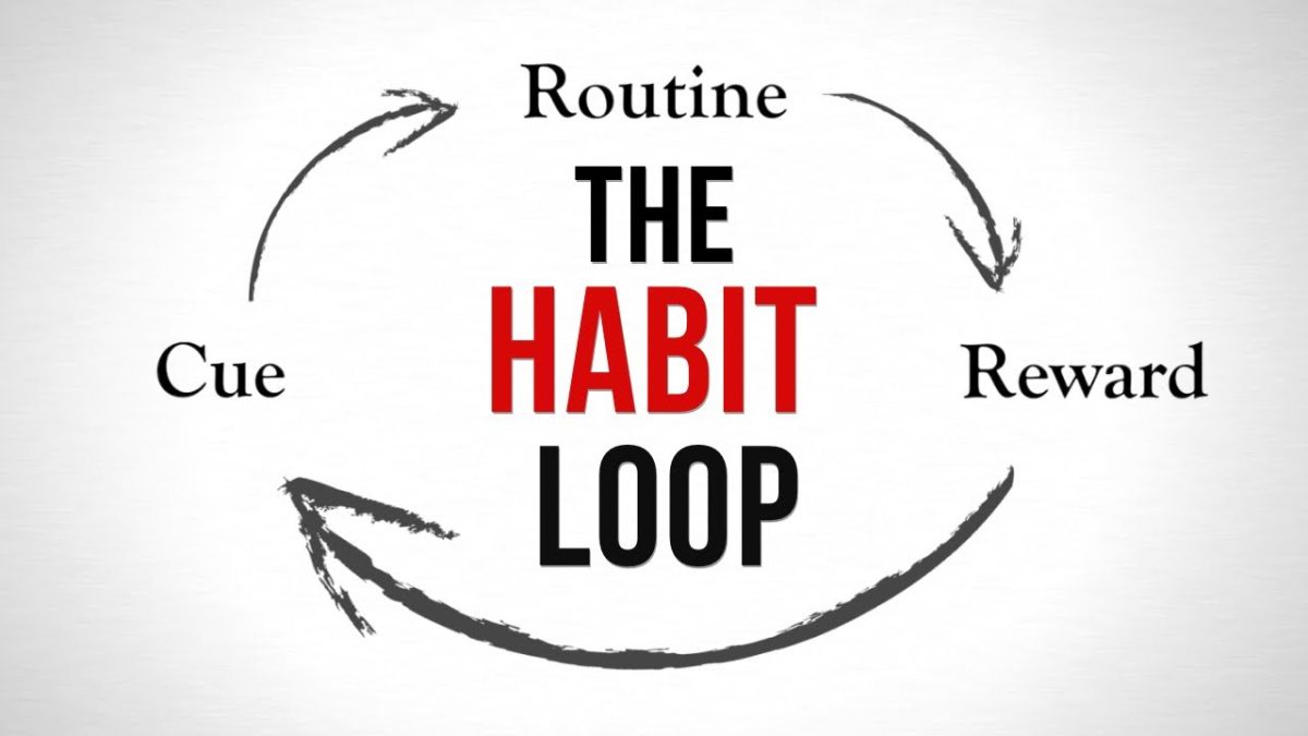 THE HABIT LOOP